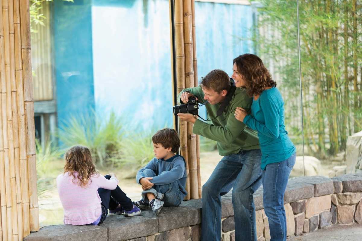 11 Matchstick Craft For Kids