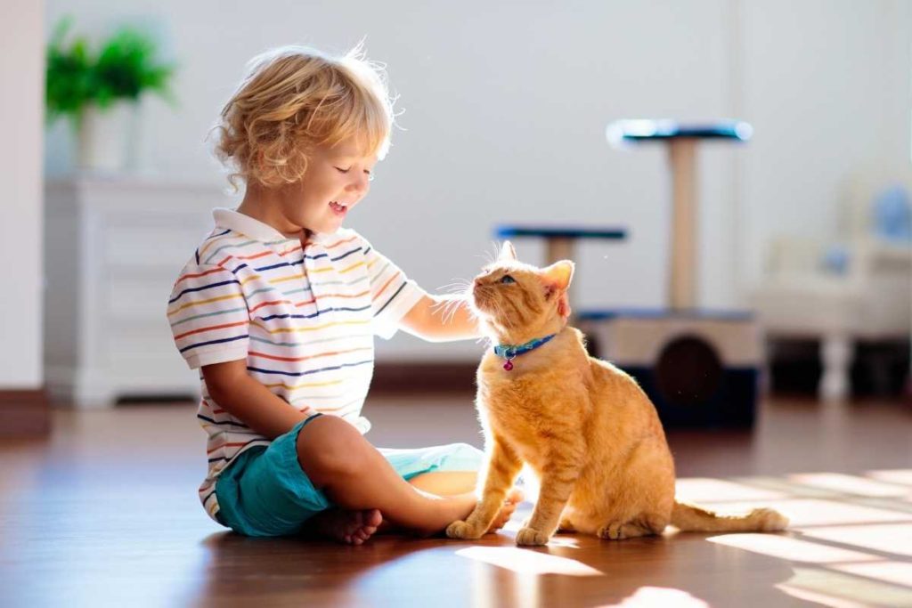 13 Animal Art And Crafts For Kids